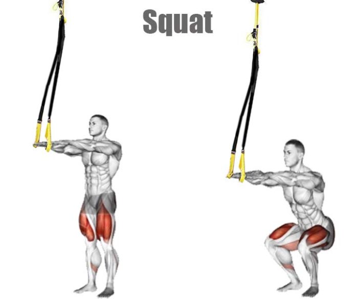 How to Do TRX Full Body Workout - The Weight Loss and Health Body ...