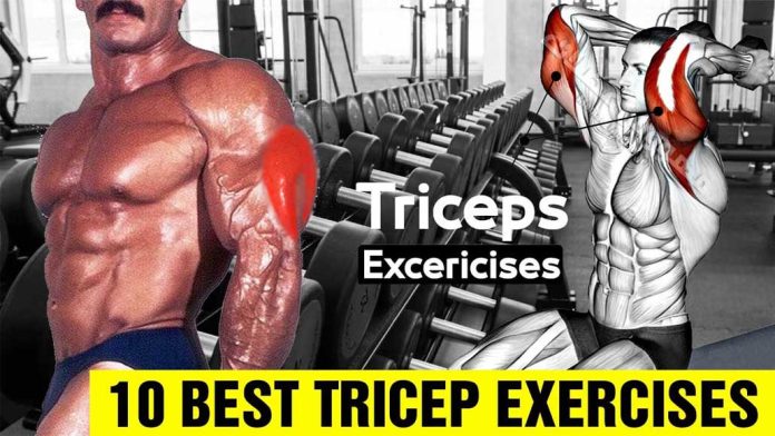 10 Best Triceps Workout, Step by Step - The Weight Loss and Health Body ...