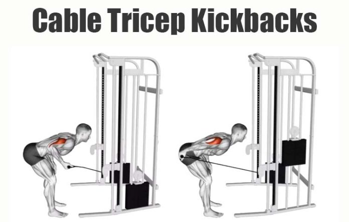 10 Best Triceps Workout, Step by Step - The Weight Loss and Health Body ...