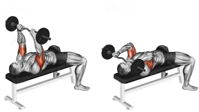 10 Best Triceps Workout, Step by Step - The Weight Loss and Health Body ...