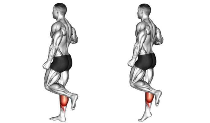 30 Best Bodyweight Workout - The Weight Loss and Health Body Transformation