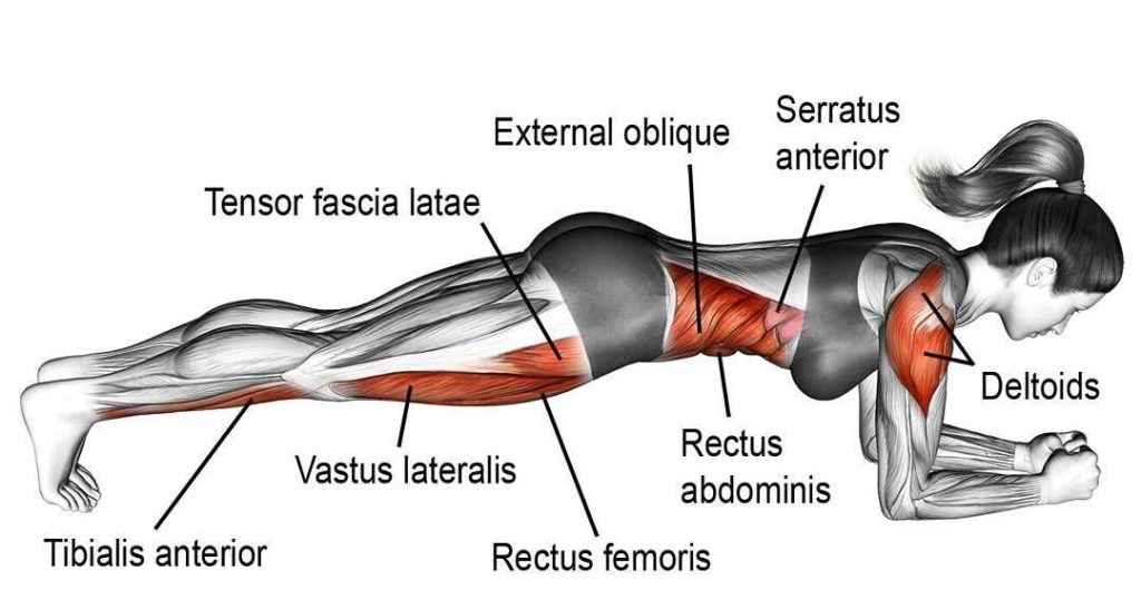 30 Best Bodyweight Workout - The Weight Loss and Health Body Transformation