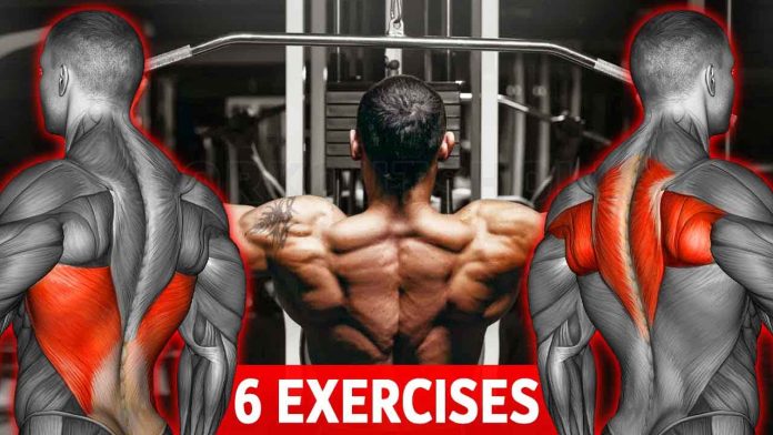 The Beginner-Friendly Back Workout Routine Focuses on Building Width ...